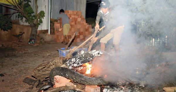 Python supposedly kills man in southern Vietnam