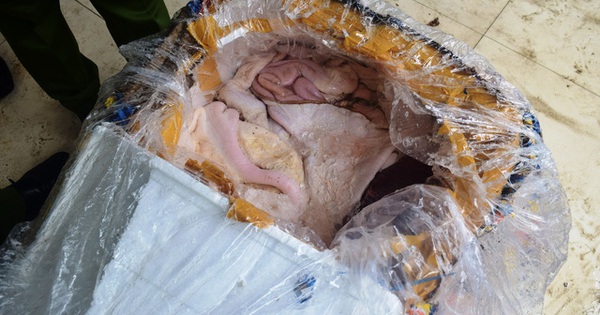Vietnam police seize 2.5 tons of animal innards illegally carried on ...