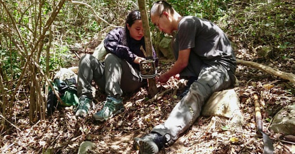 Mouse deer feared extinct spotted in Vietnam after 30 years