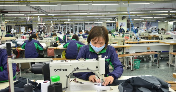 Five million workers, 84.8% of companies affected by COVID-19 pandemic ...