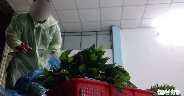 Vietnam's retail giant WinCommerce takes substandard vegetables off shelves