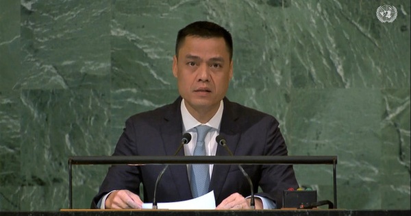 Vietnam opposes use of force to infringe on sovereignty, territorial integrity