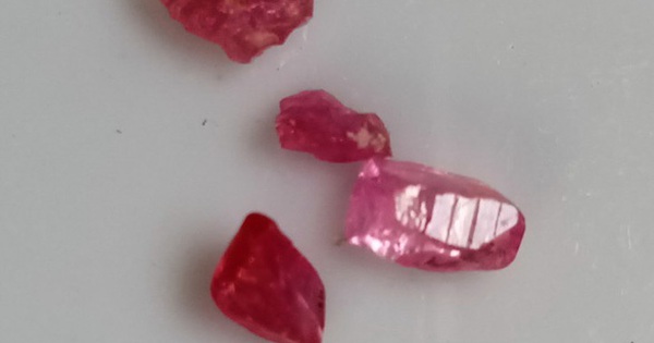 Ruby hunting emerges in Vietnam's north-central province