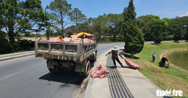 Thousands of dead fish fill Da Lat’s Xuan Huong Lake