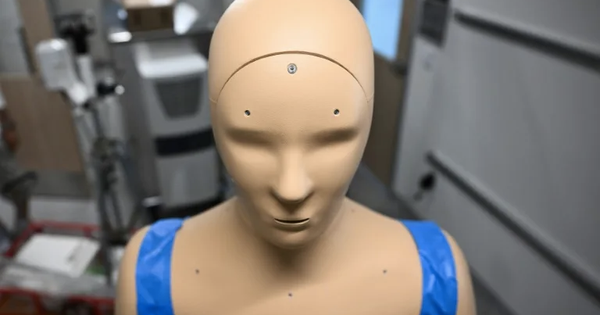A sweaty robot may help humans understand impact of soaring heat