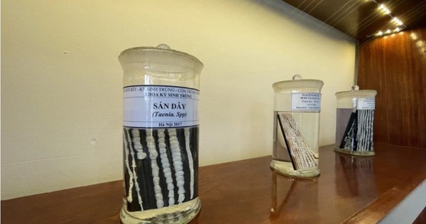 6-meter long tapeworm found in Vietnamese woman