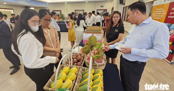 Stronger measures needed to improve Vietnam’s farm produce export ...