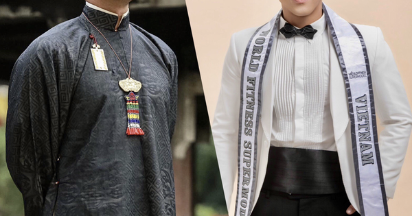 Vietnam shines on international male pageant stage