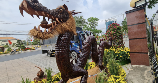 Coconut shell dragon sculpture draws public attention in southern Vietnam