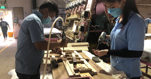 US provides anti-timber trafficking training in Vietnam