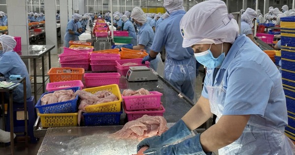 Vietnam credit rating affirmed at 'BB+’ with outlook stable: S&P Global ...