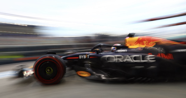 F1 practice in Singapore halted after lizard runs onto track