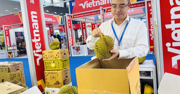 Vietnam’s durian exports hit record, imports soar over 10 times