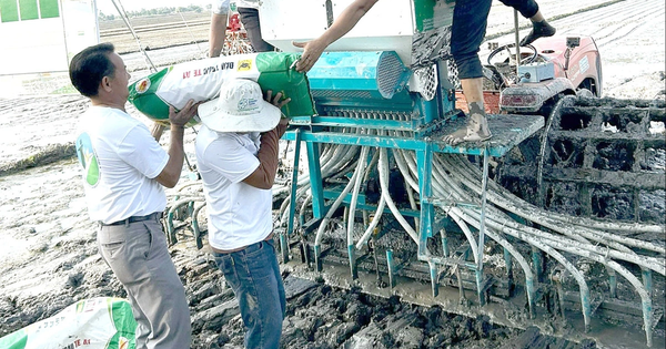 Vietnam rice branding faces multiple hardships
