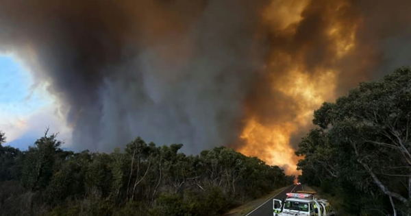 Australian bushfire burns area the size of Singapore