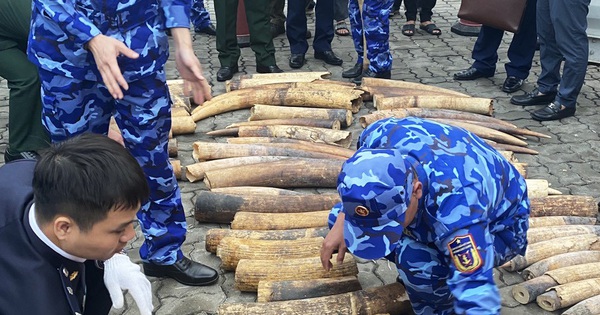 Vietnam launches anti-ivory trade campaign targeting tourists